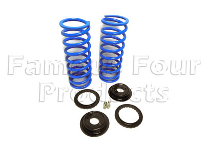 Rear Coil Spring Conversion Kit (FF007968) for Land Rover Discovery ...